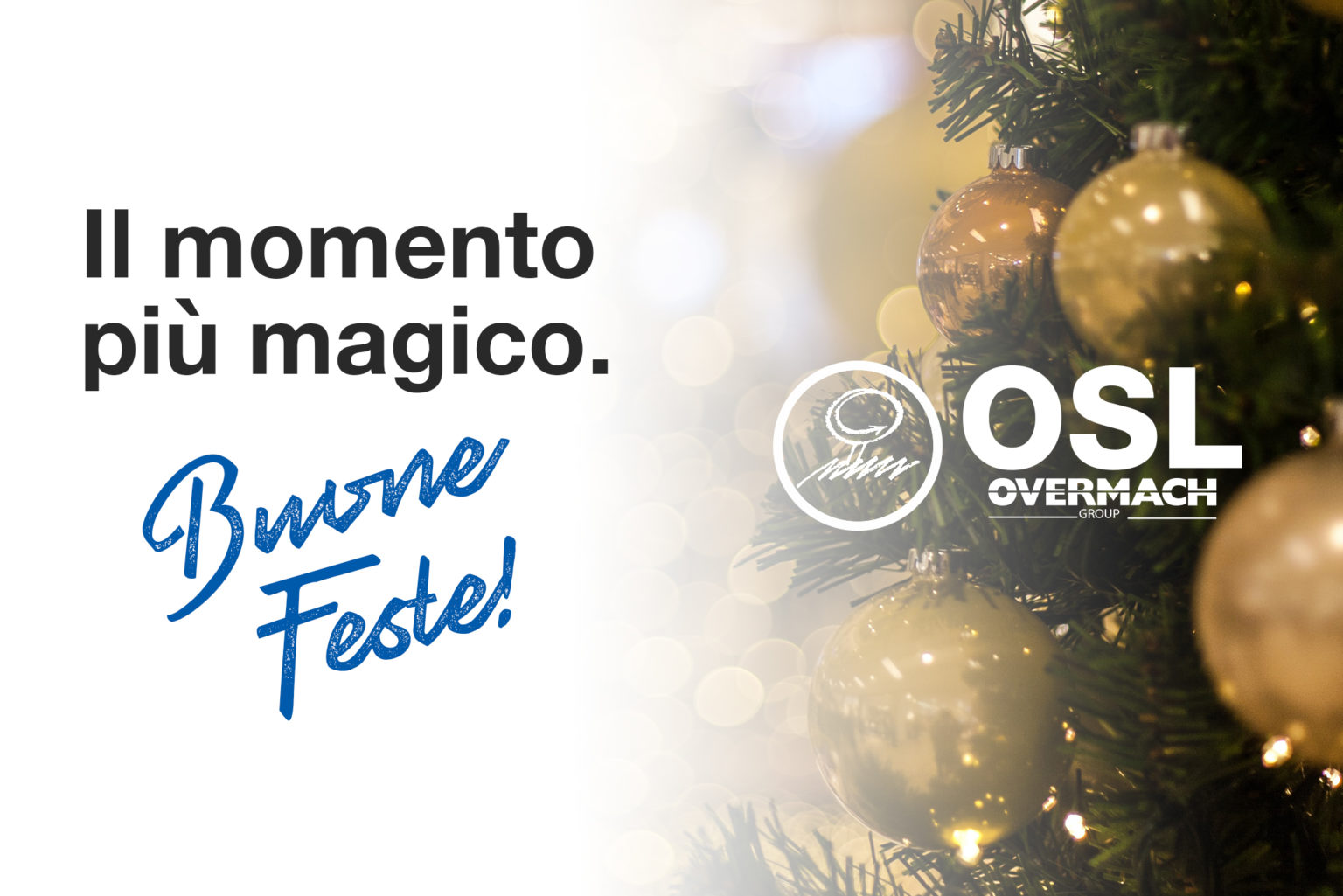 Home Page - OSL S.r.l.