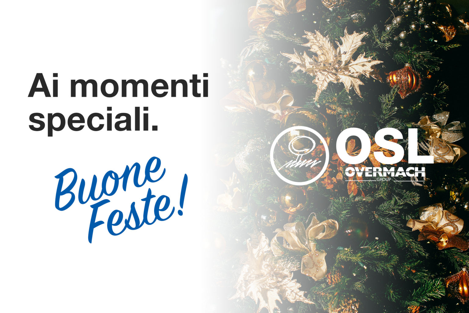 Home Page - OSL S.r.l.